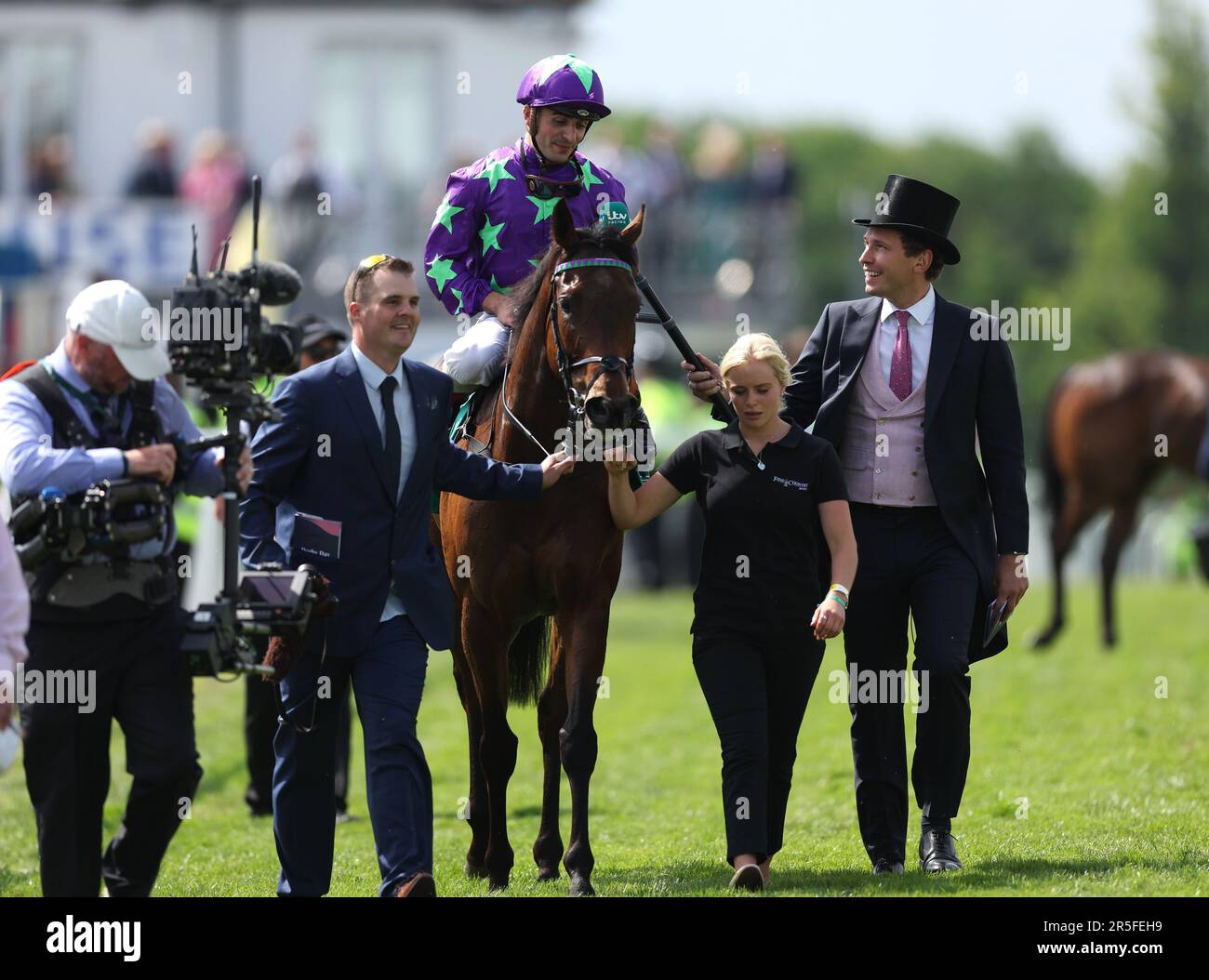 Navello horse hi-res stock photography and images - Alamy