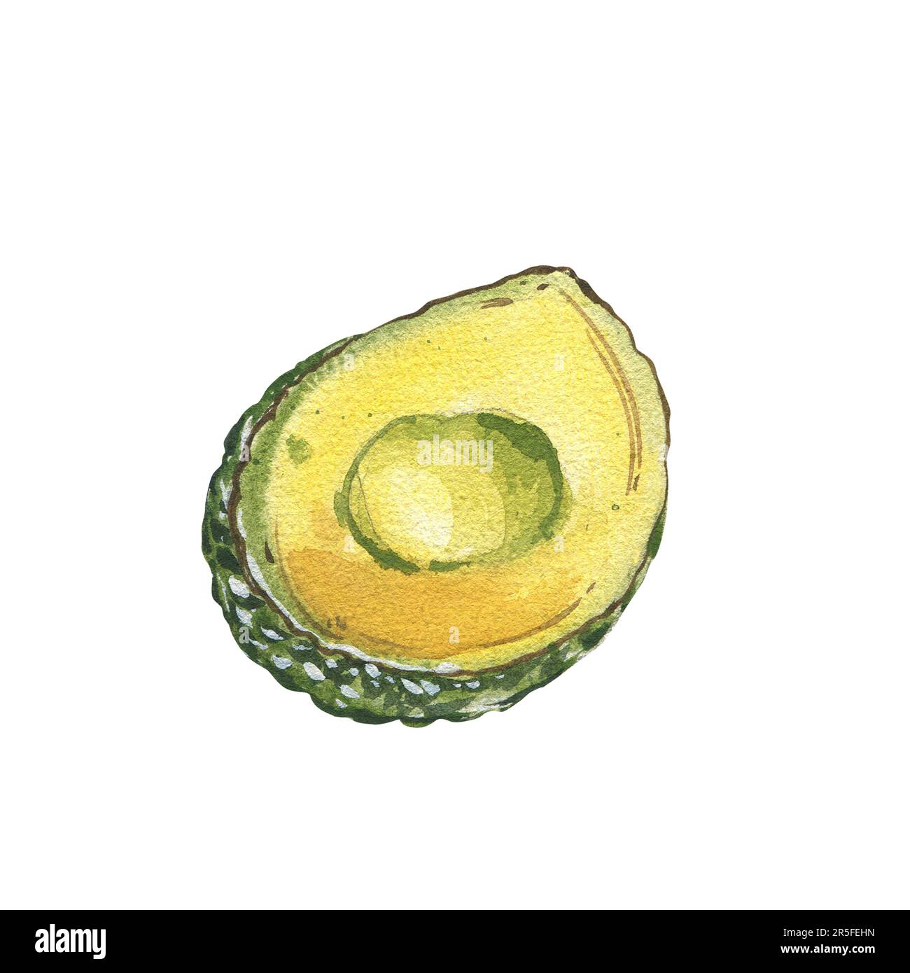 Ripe raw avocado slice isolated on white background. Watercolor hand ...