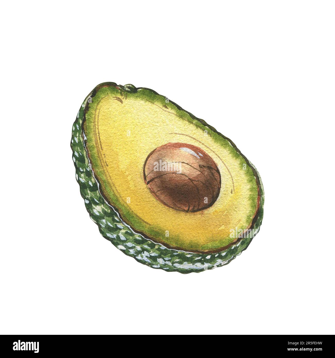 Ripe raw avocado slice isolated on white background. Watercolor hand ...