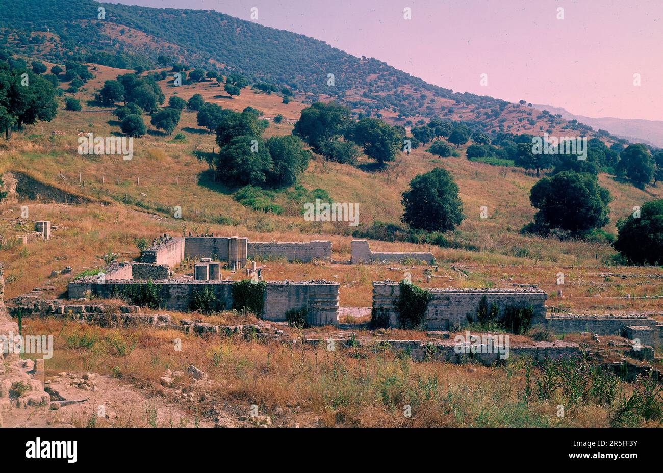 VISTA DE LAS RUINAS DE LA MEZQUITA CONSTRUIDA EN EL 936 POR ABDERRAMAN ...