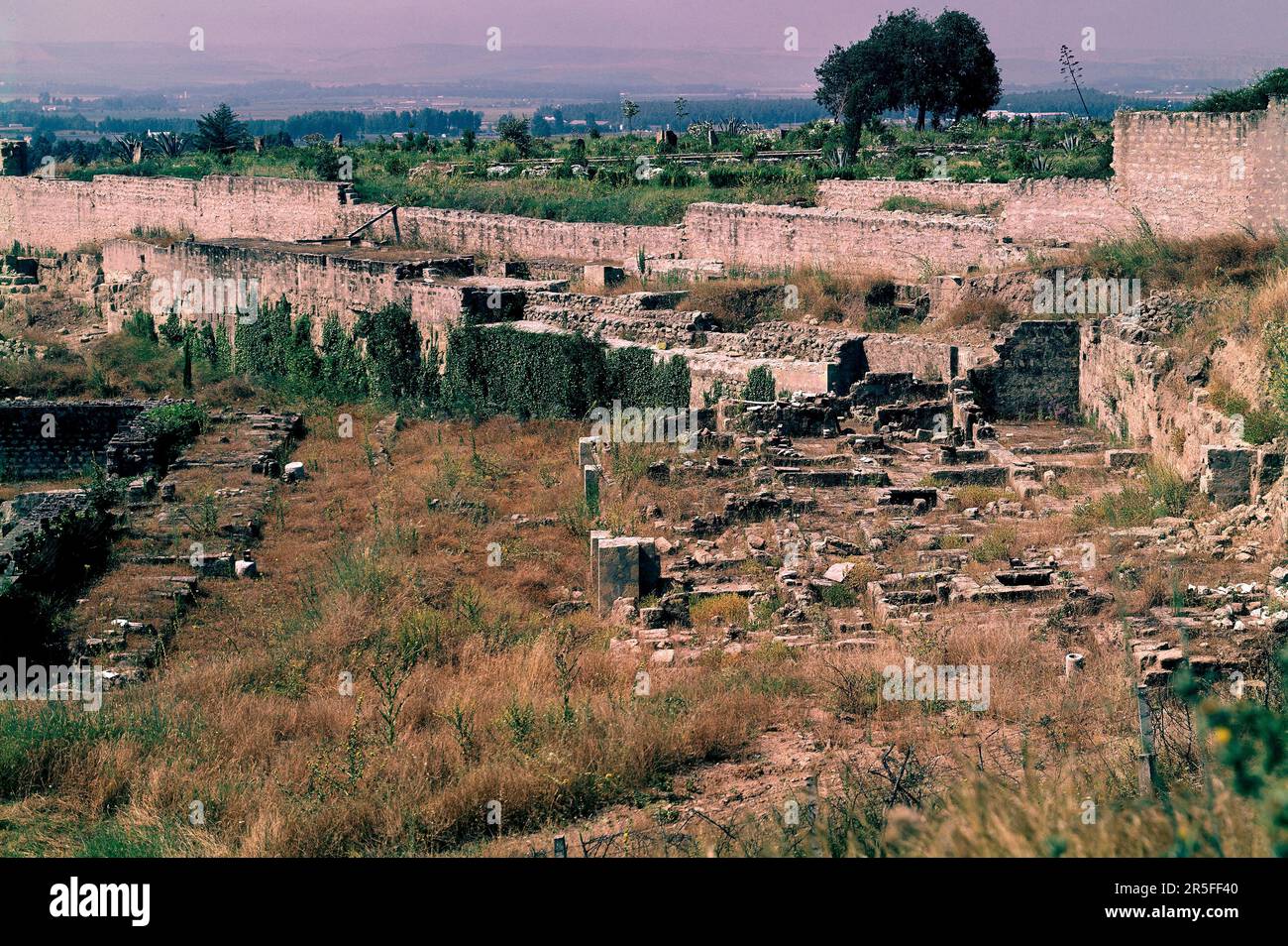 VISTA DE LAS RUINAS-CIUDAD PALACIO CONSTRUIDA POR ABDERRAMAN III EN EL ...