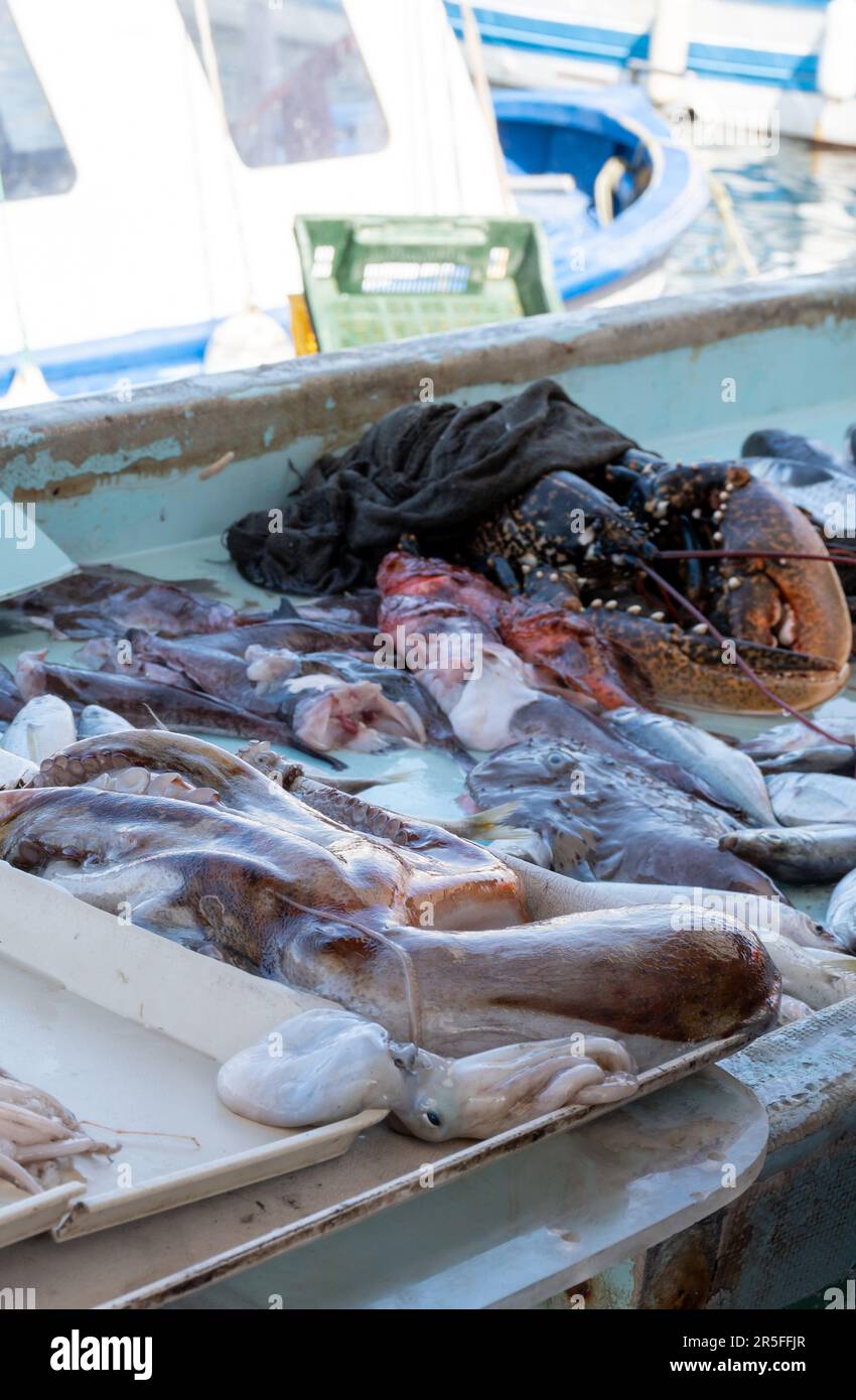 Catch of the day for sale on daily fish market in old port of Marseille ...
