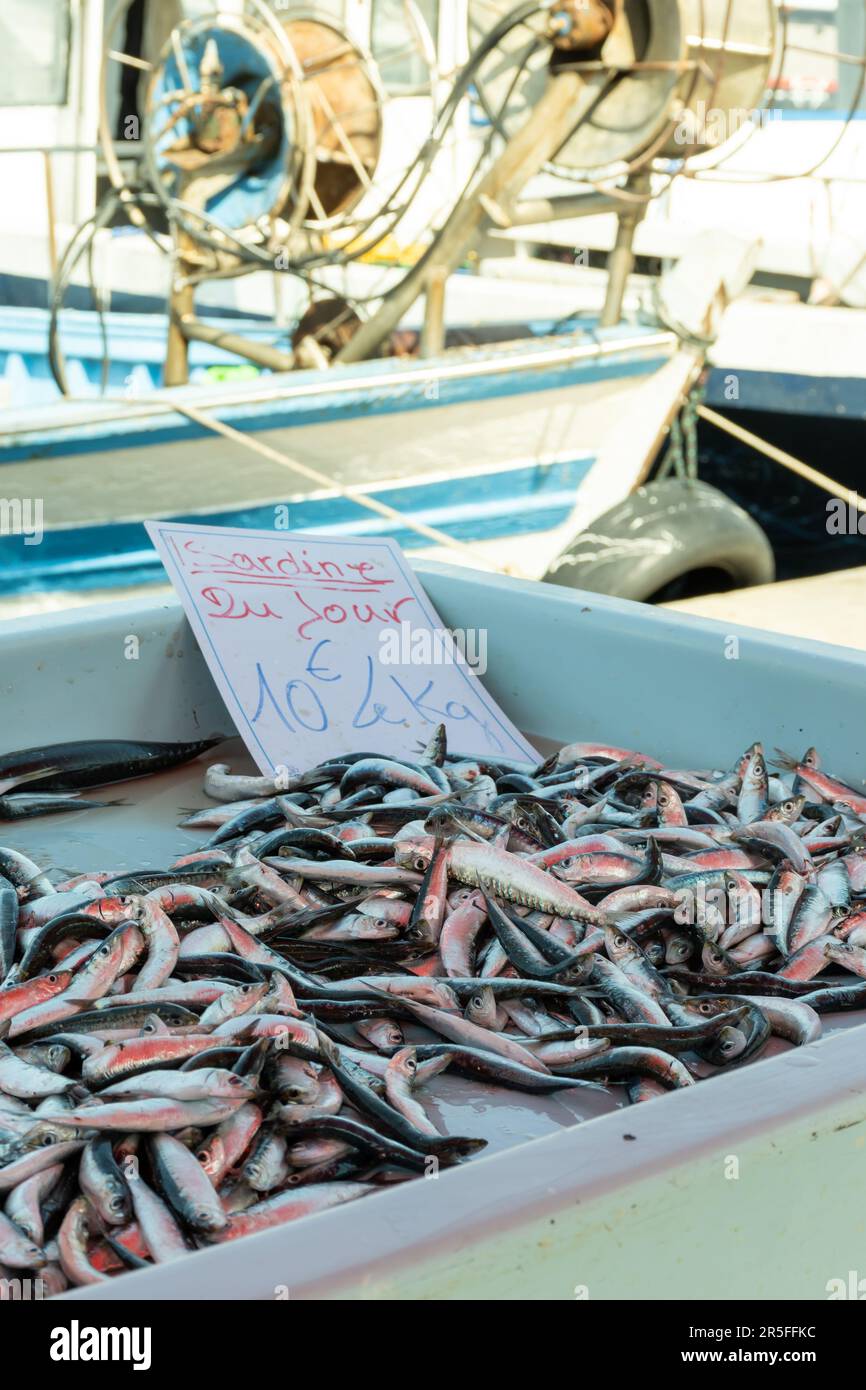 Catch of the day for sale on daily fish market in old port of Marseille ...