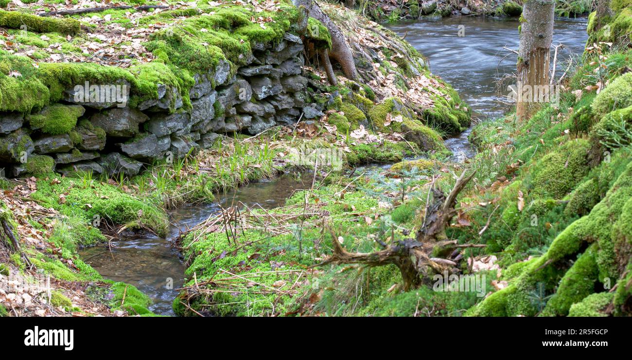 Small stream through forest hi-res stock photography and images - Alamy