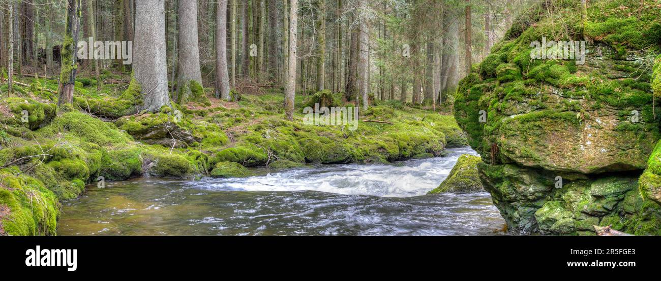 The river Grosser Regen has its source in Bohemia and flows through the ...