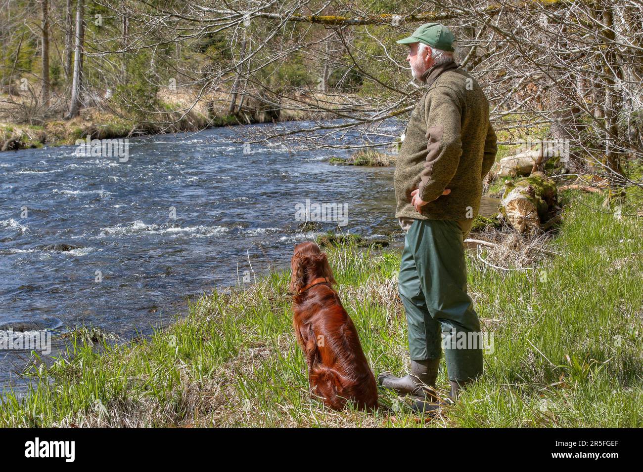 A hiker and his Irish Setter stand by the scenic Regen River Stock ...