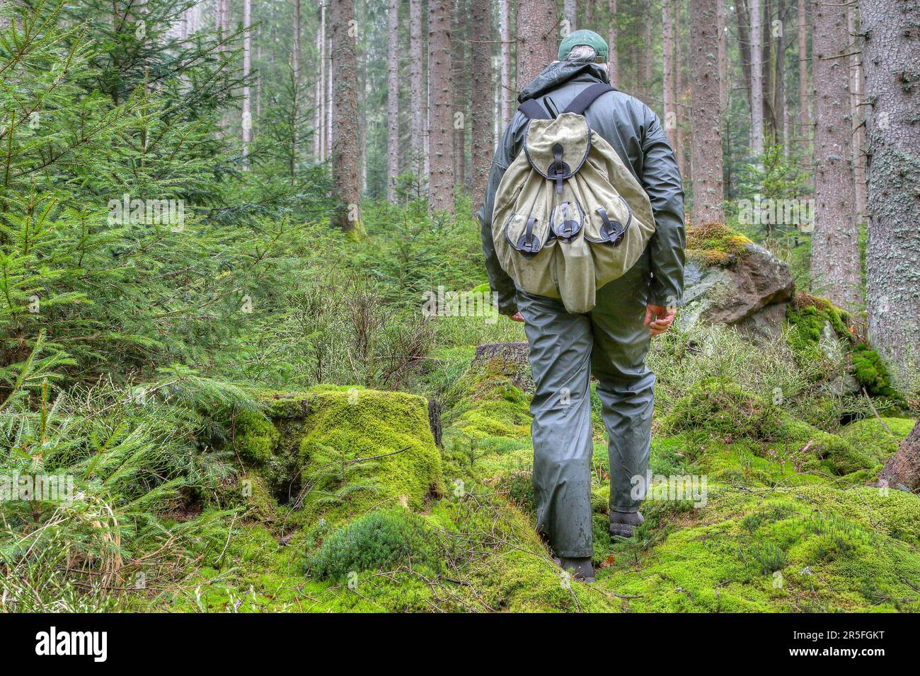 A hiker in his rain gear, protecting him from the wet, walks through ...