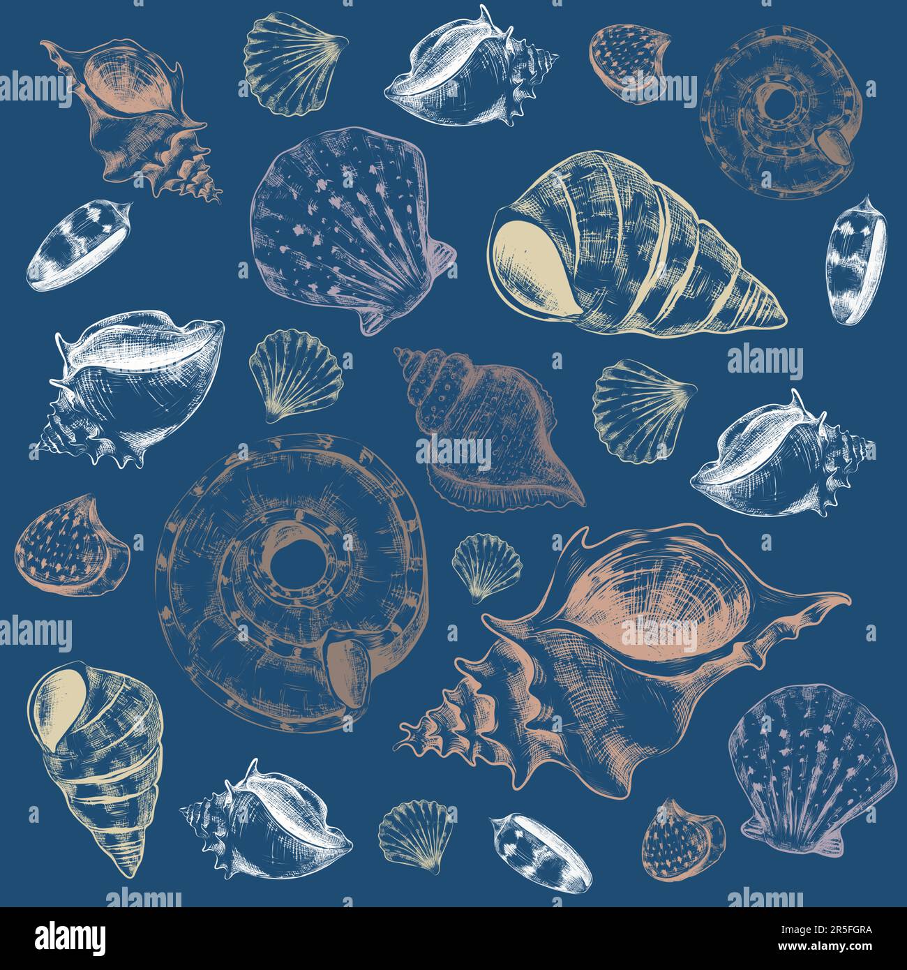 Sea shells. Hand drawn marine seashell. Sketch style drawing underwater ...