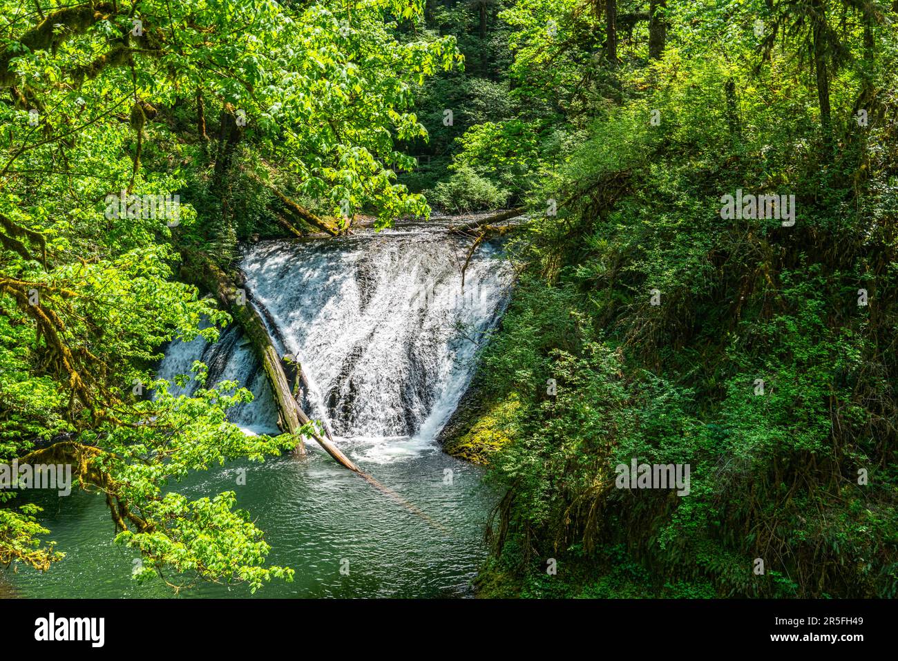 A landscape shot of Drake Falls at Silver Falls State Park in Oregon ...