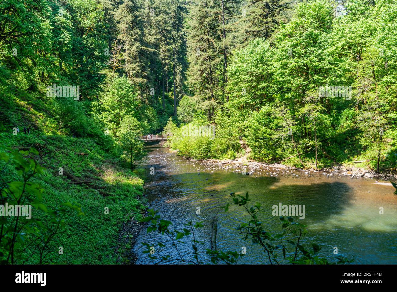 A view of a walking bridge below South Falls at Silver Fals State Park ...