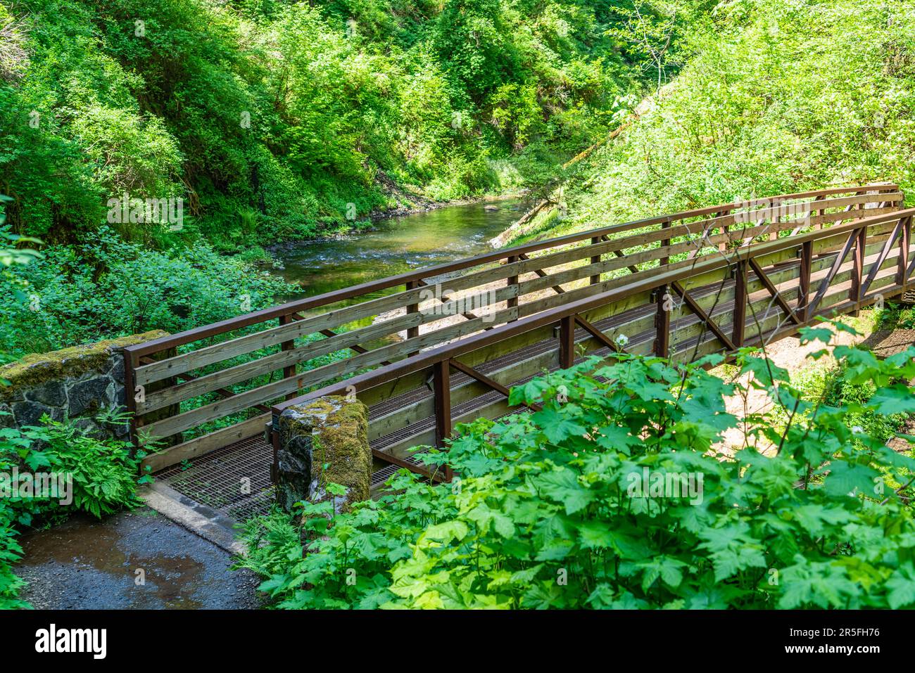 A walking bridge along the Canyon Trail at Silver Falls State Park in ...