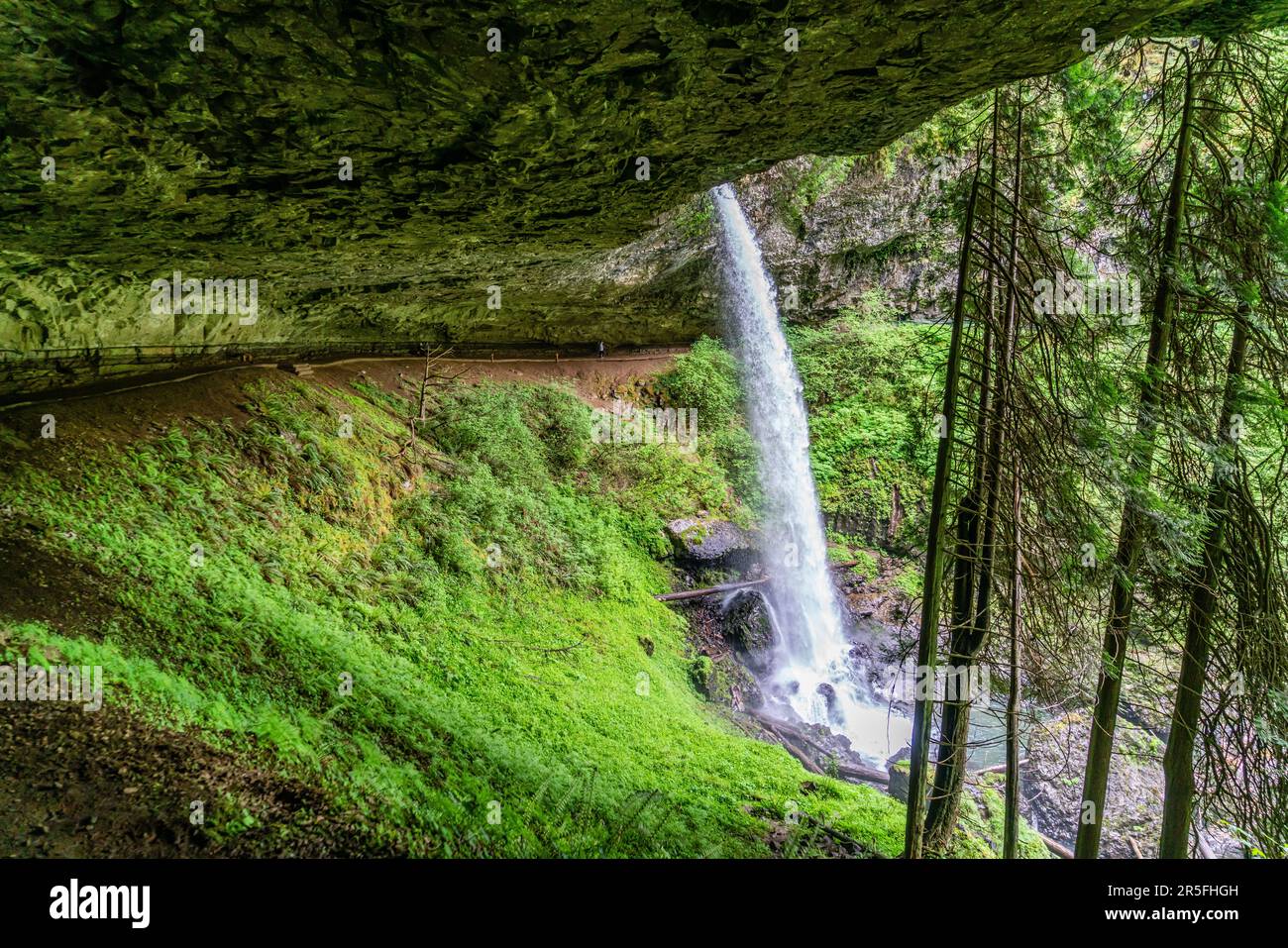 A trail leads un an rocky overhang at Lower North Falls in Silver Falls ...