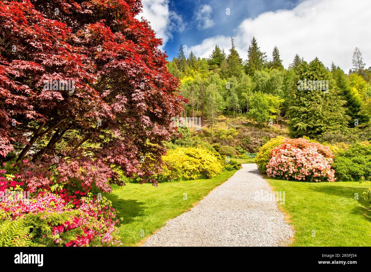 Attadale Gardens Wester Ross Scotland gardens and trees in Spring a ...
