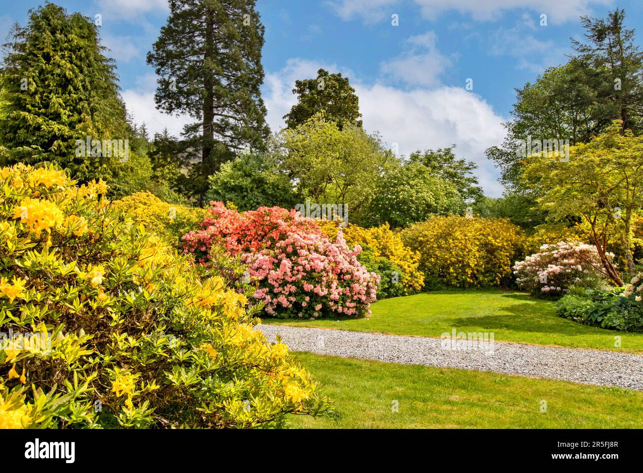 Attadale Gardens Wester Ross Scotland the gardens a pathway lined by ...