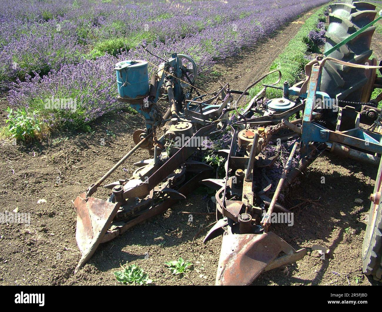 Close up of the old French reaper and binding machine used to harvest ...