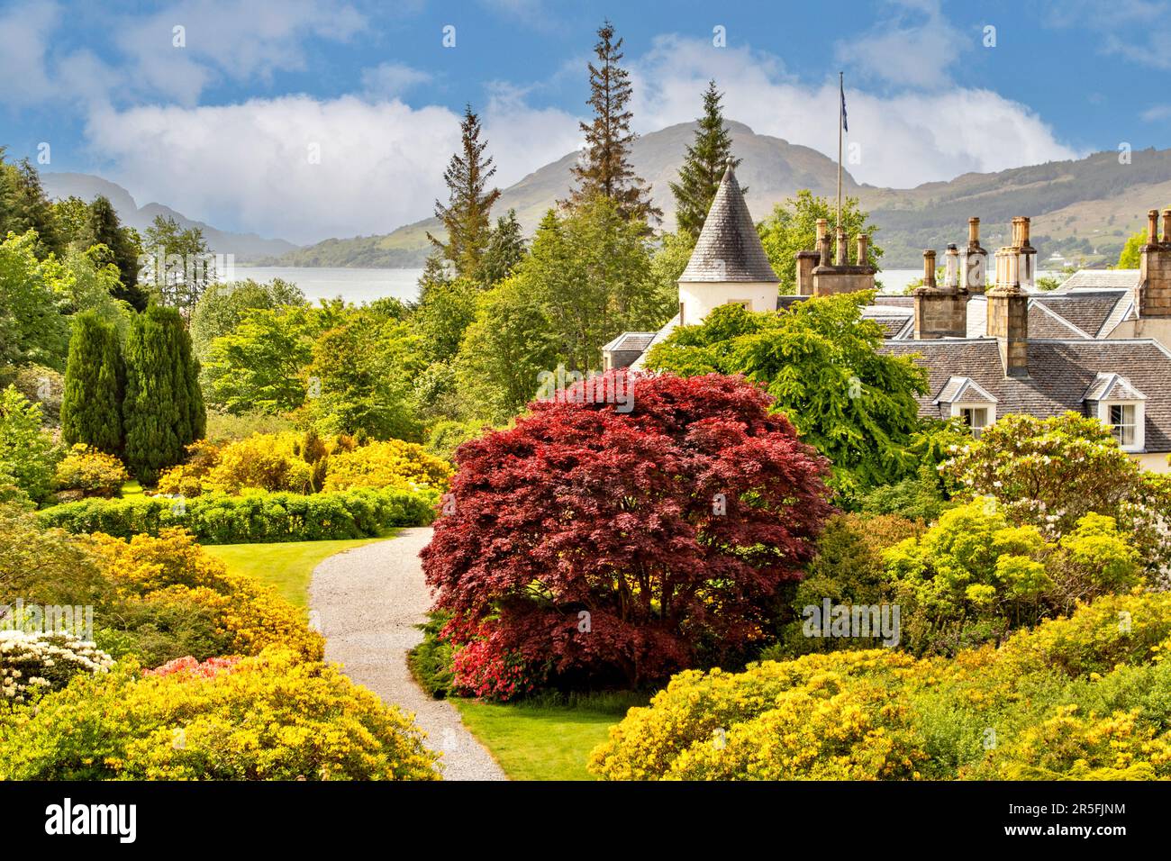 Azaleas red rhododendron yellow hi-res stock photography and images - Alamy