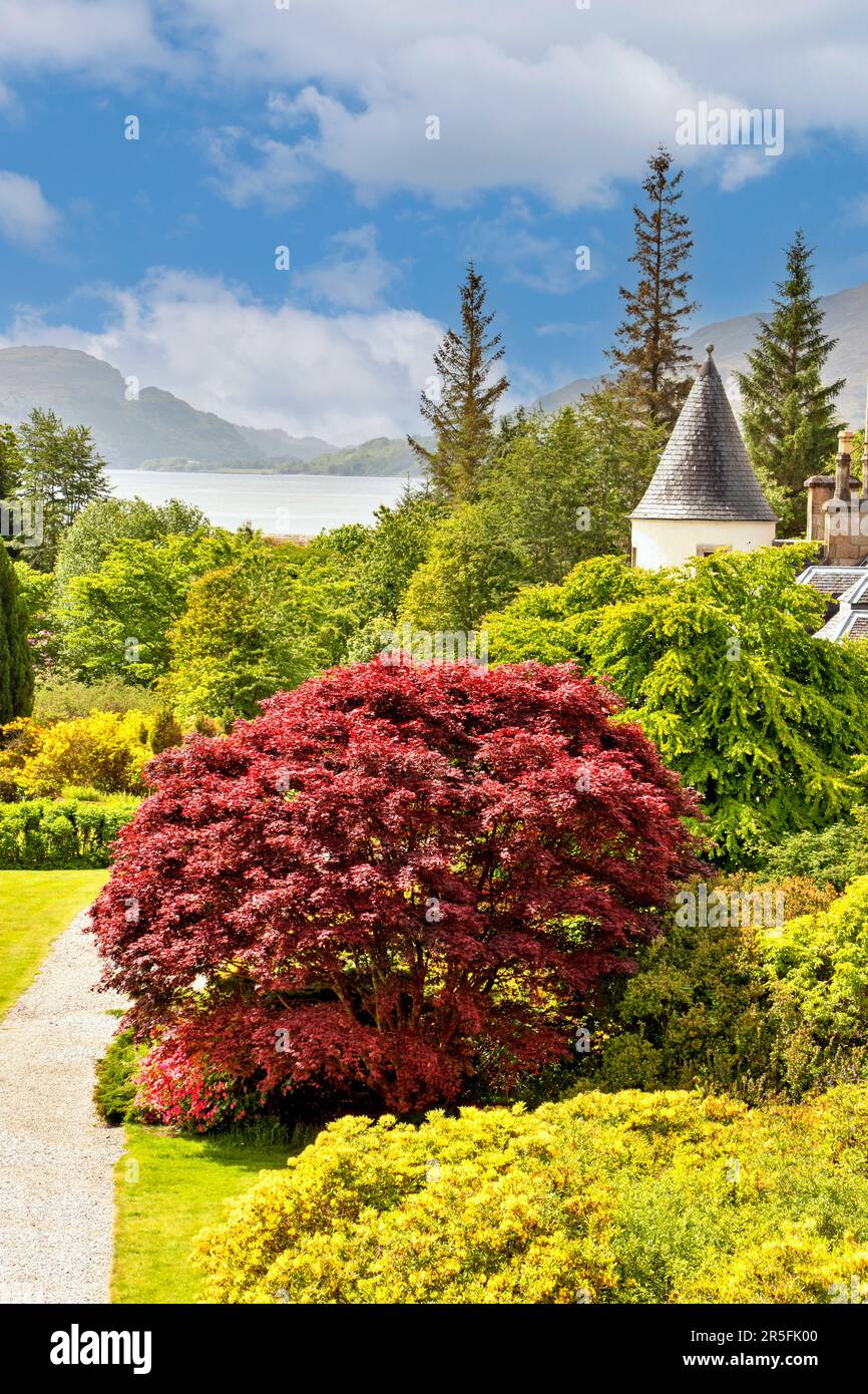 Attadale Gardens Wester Ross Scotland the turret and gardens a view ...