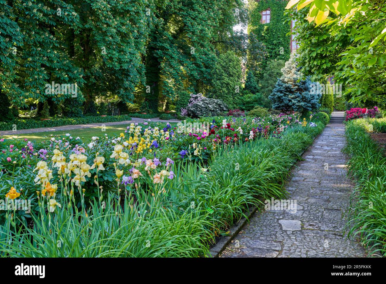 Botanical Gradens in June Wroclaw Lower Silesia Poland Stock Photo - Alamy