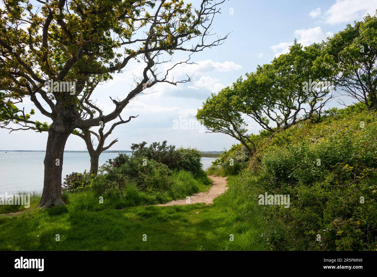 Coastal footpath along Chichester Harbour at Chidham, West Sussex, UK ...