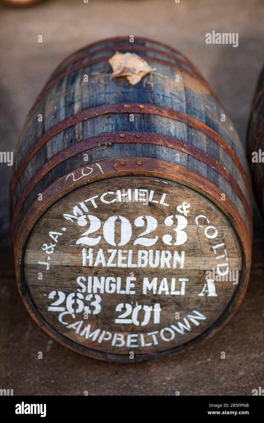 whisky cask at the Springbank whisky distillery, Campbeltown, Scotland ...