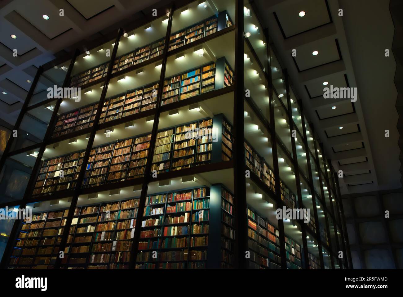 A vault of rare and treasured books catalogued and displayed in a ...