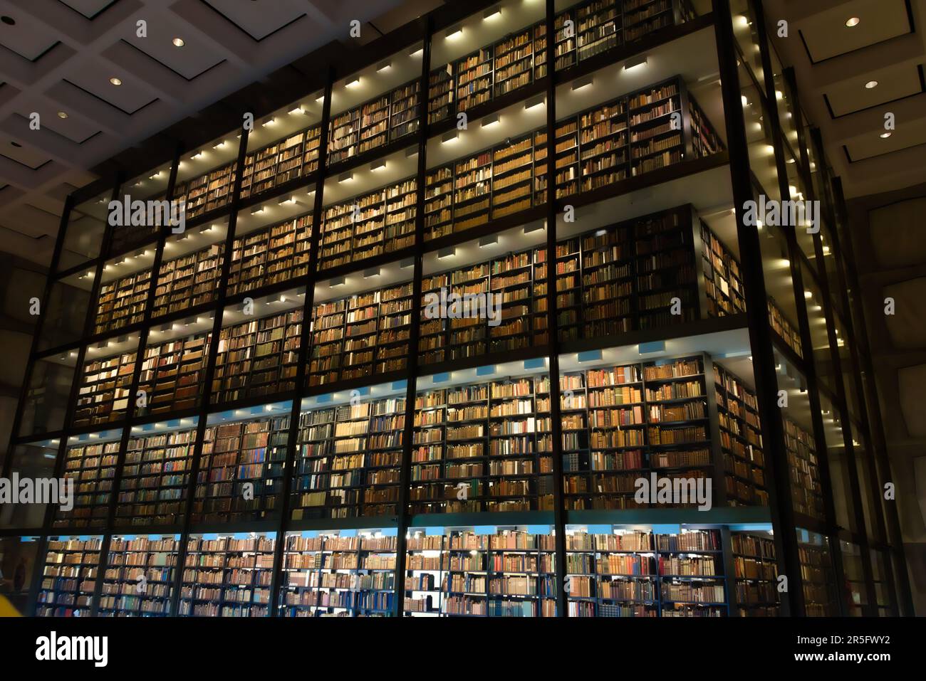 A vault of rare and treasured books catalogued and displayed in a ...