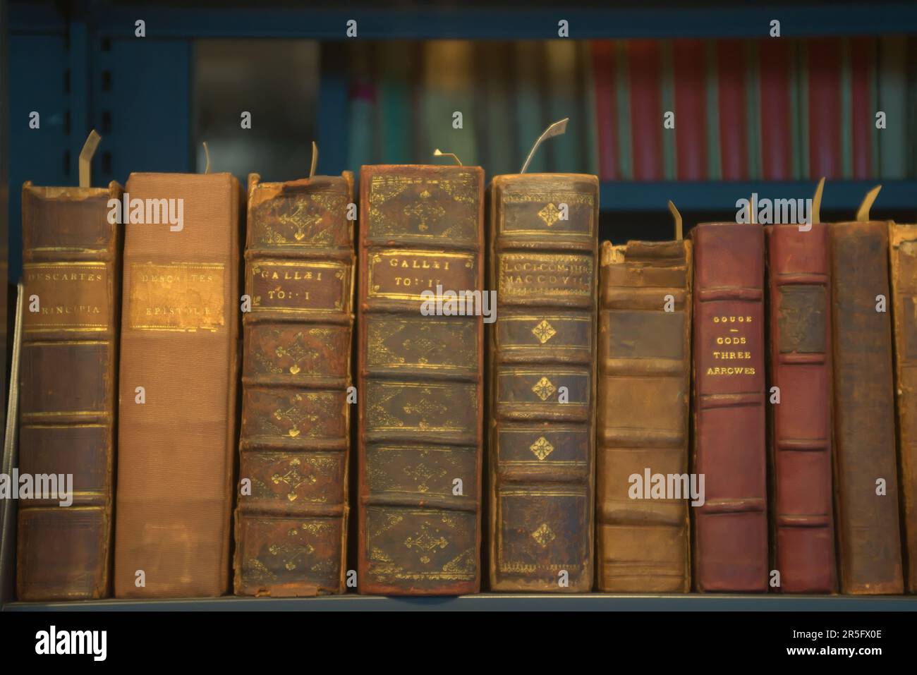 A shelf of rare and treasured books catalogued and displayed at the ...