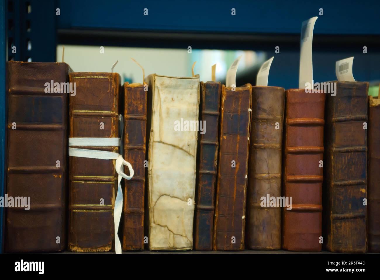 A Shelf Of Rare And Treasured Books Catalogued And Displayed At The