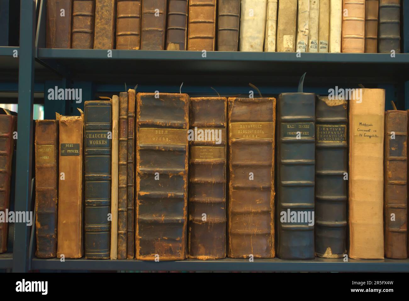 A Shelf Of Rare And Treasured Books Catalogued And Displayed At The