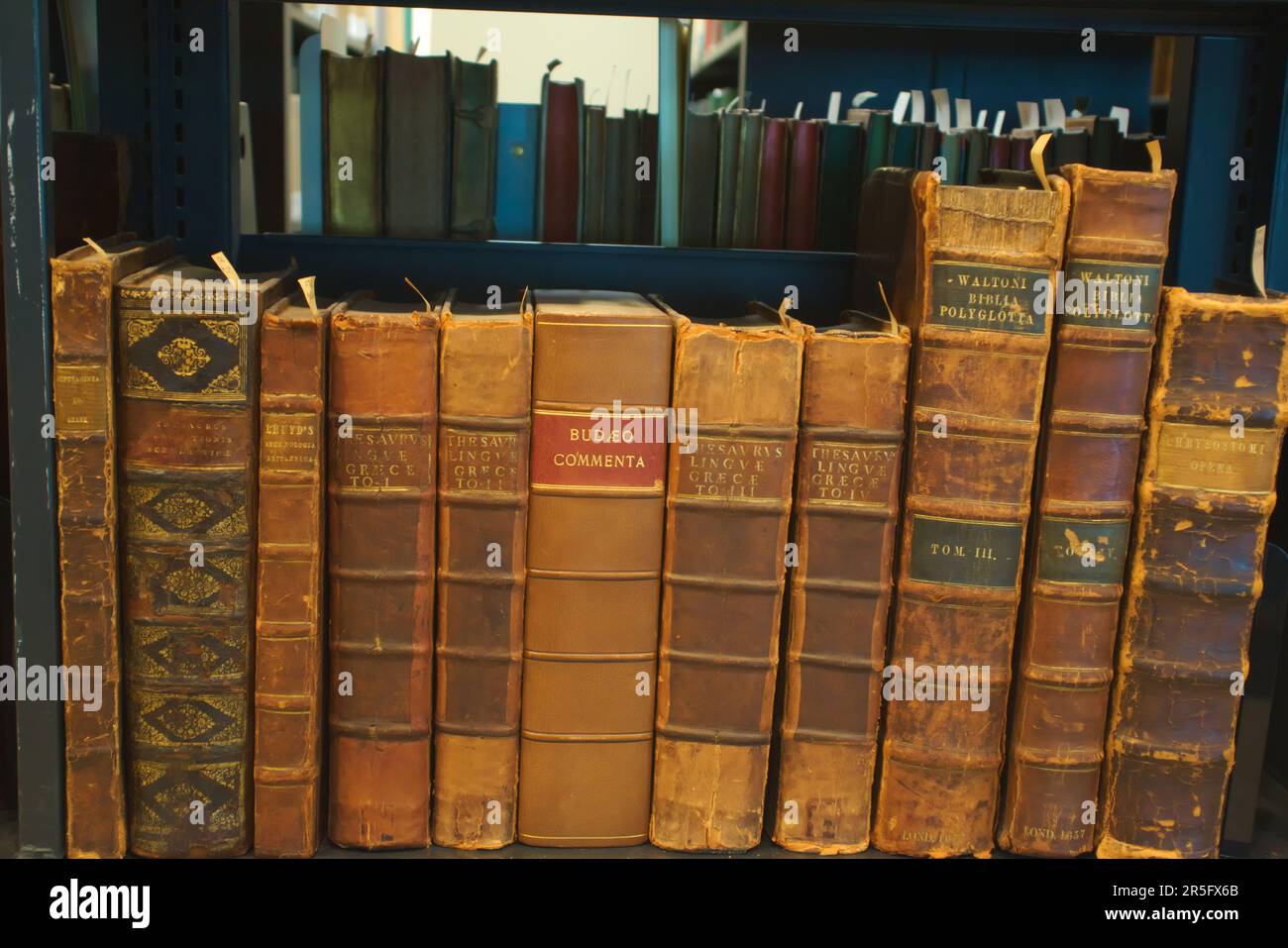 A shelf of rare and treasured books catalogued and displayed at the ...