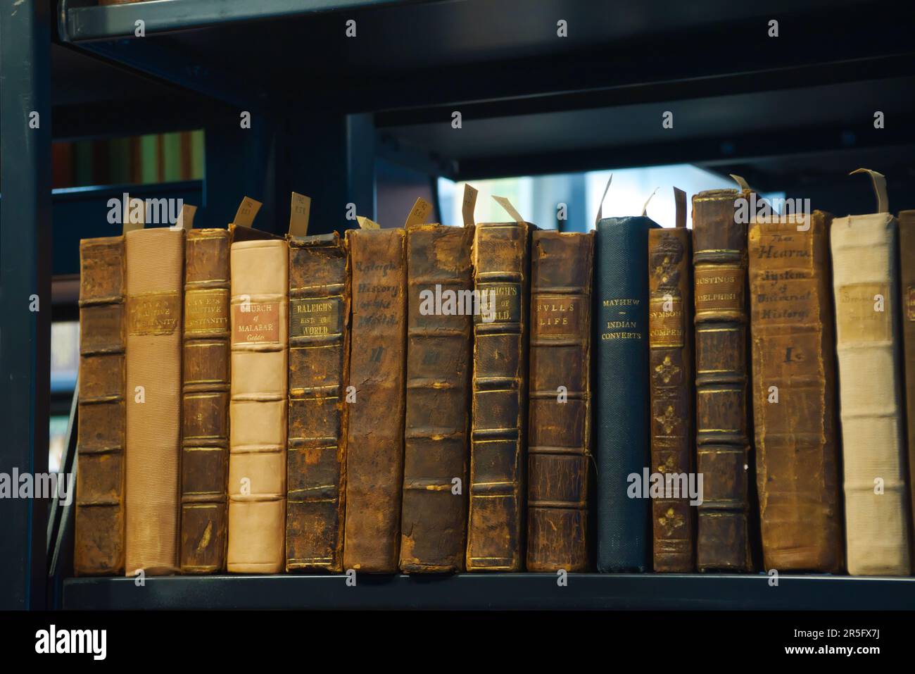 A shelf of rare and treasured books catalogued and displayed at the ...