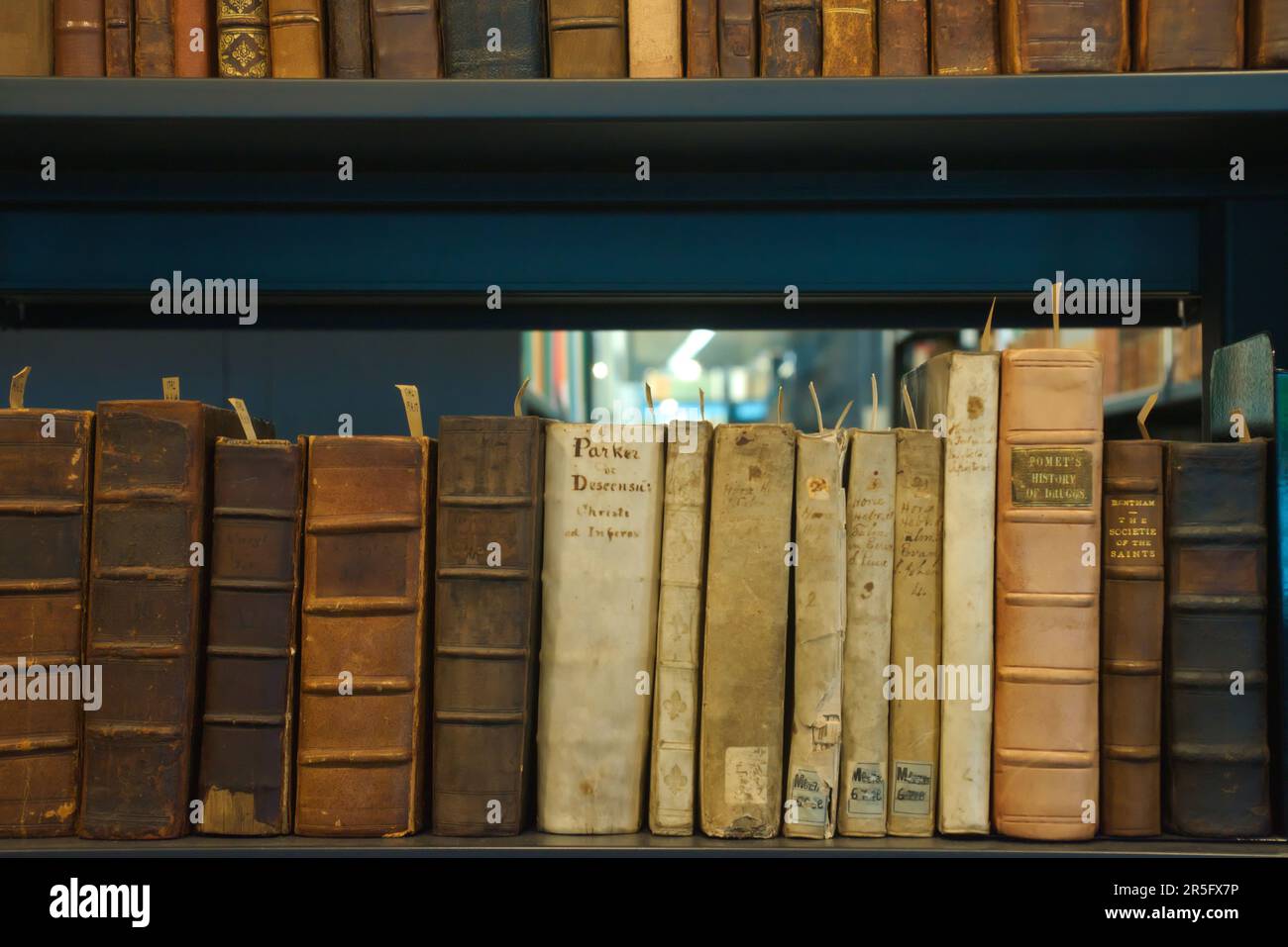 A shelf of rare and treasured books catalogued and displayed at the ...