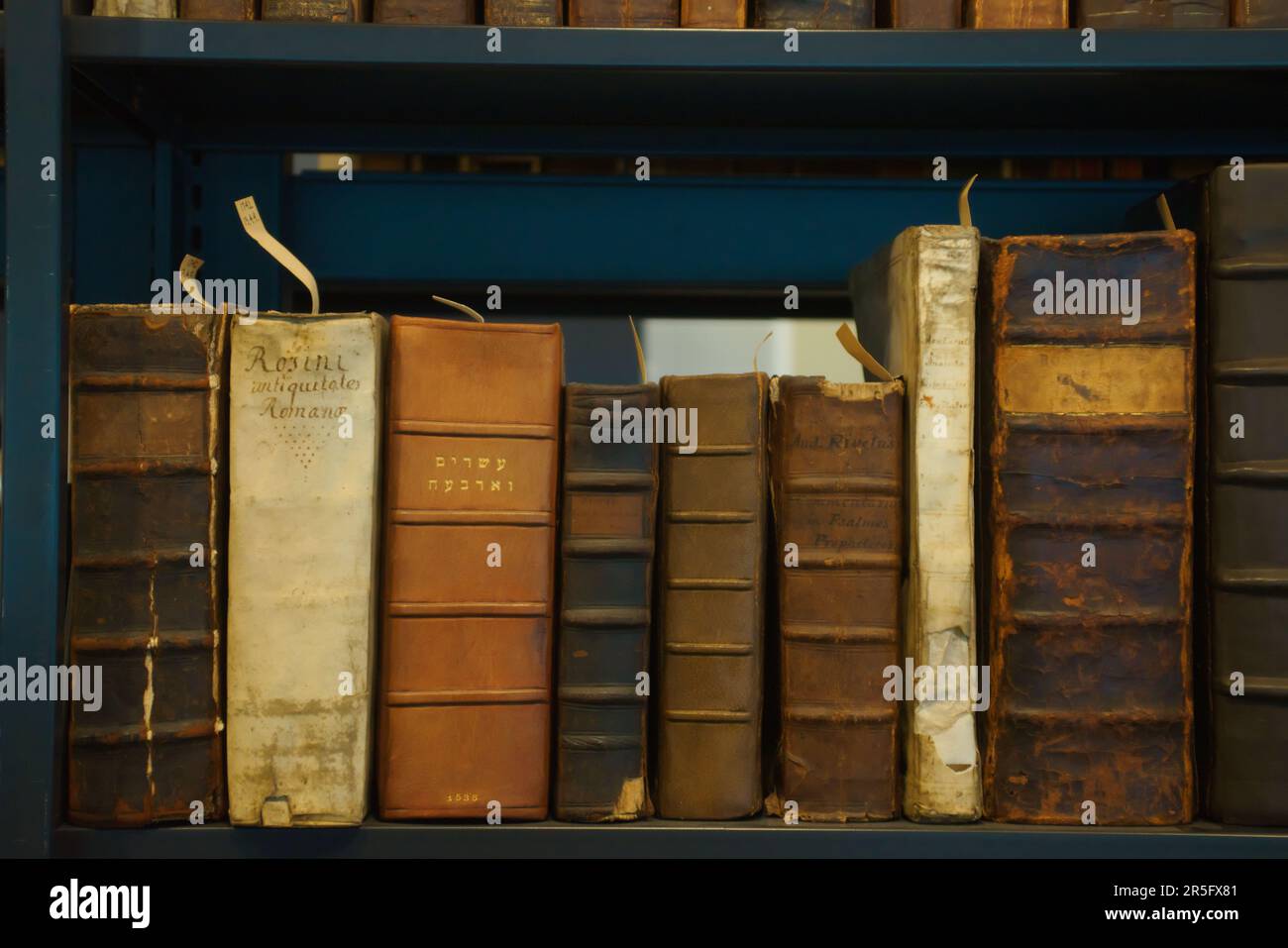 A Shelf Of Rare And Treasured Books Catalogued And Displayed At The