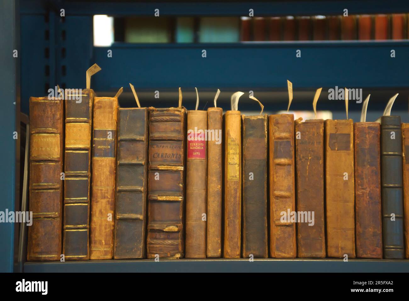 A Shelf Of Rare And Treasured Books Catalogued And Displayed At The