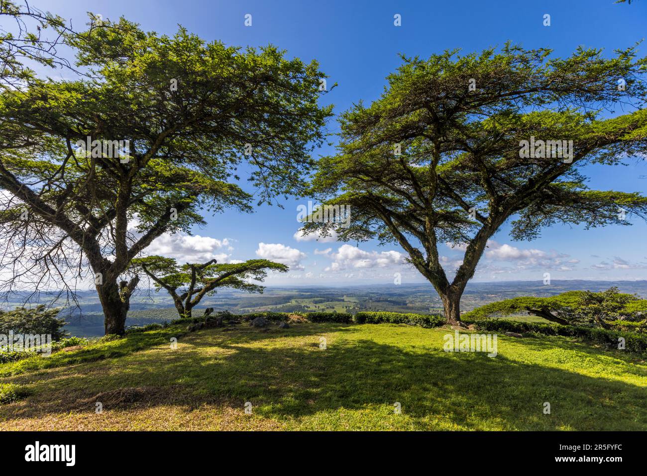 View from Thyolo Mountain, 1,460 m above the Shire Highlands with ...