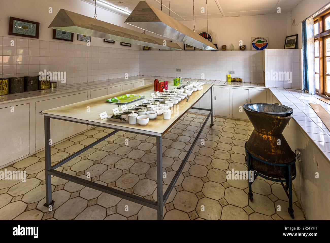 The so-called White Room in the factory of Satemwa Estate. Here, the ...