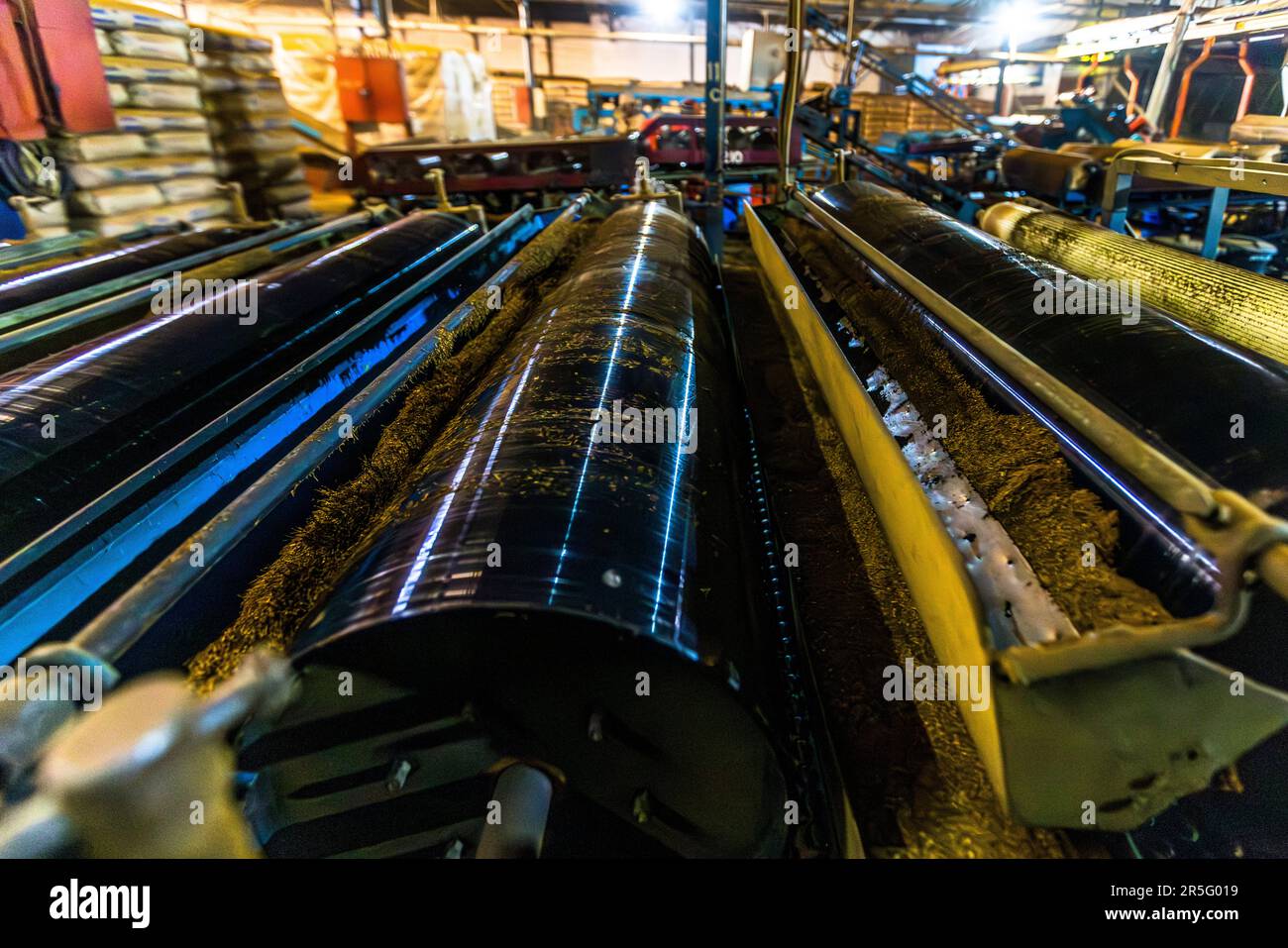 Satemwa tea and coffee plantation near Thyolo, Malawi Stock Photo - Alamy
