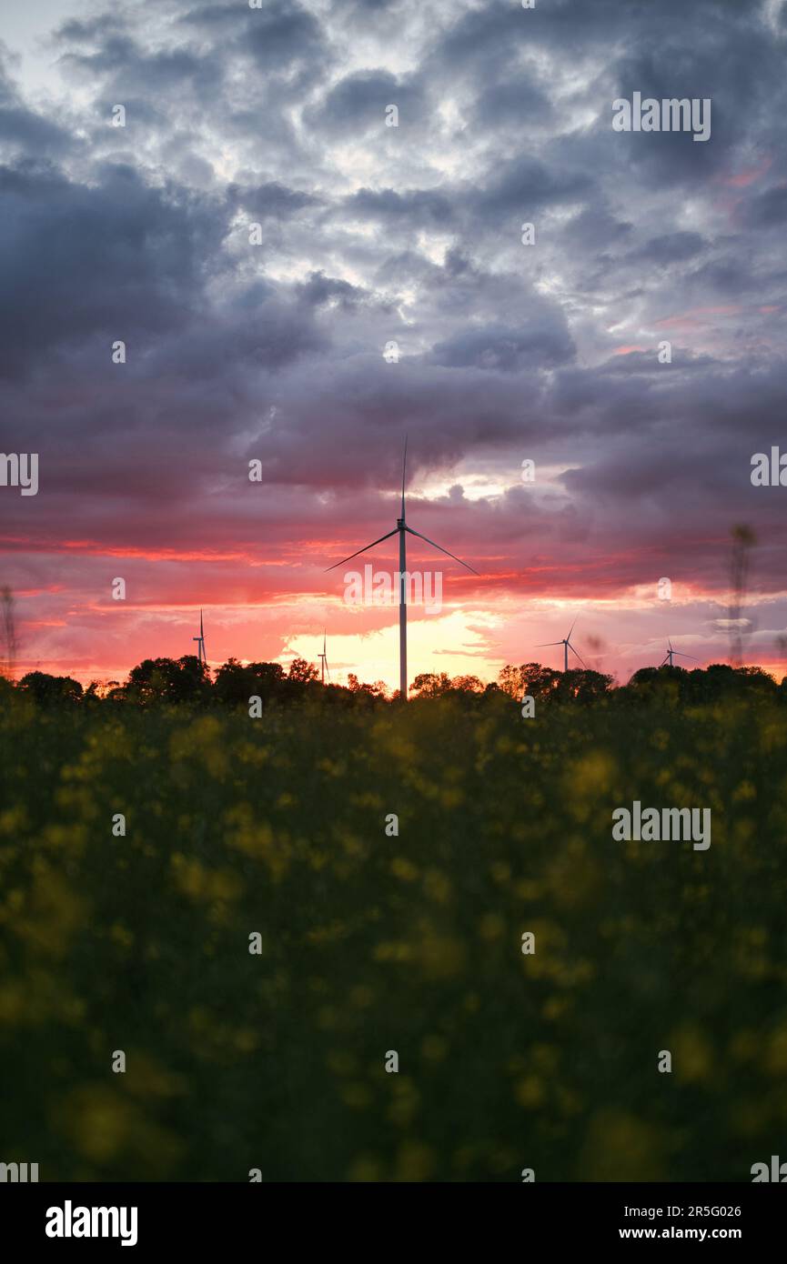 Ignitis wind turbine park in Jurbarkas, Lithuania Stock Photo - Alamy