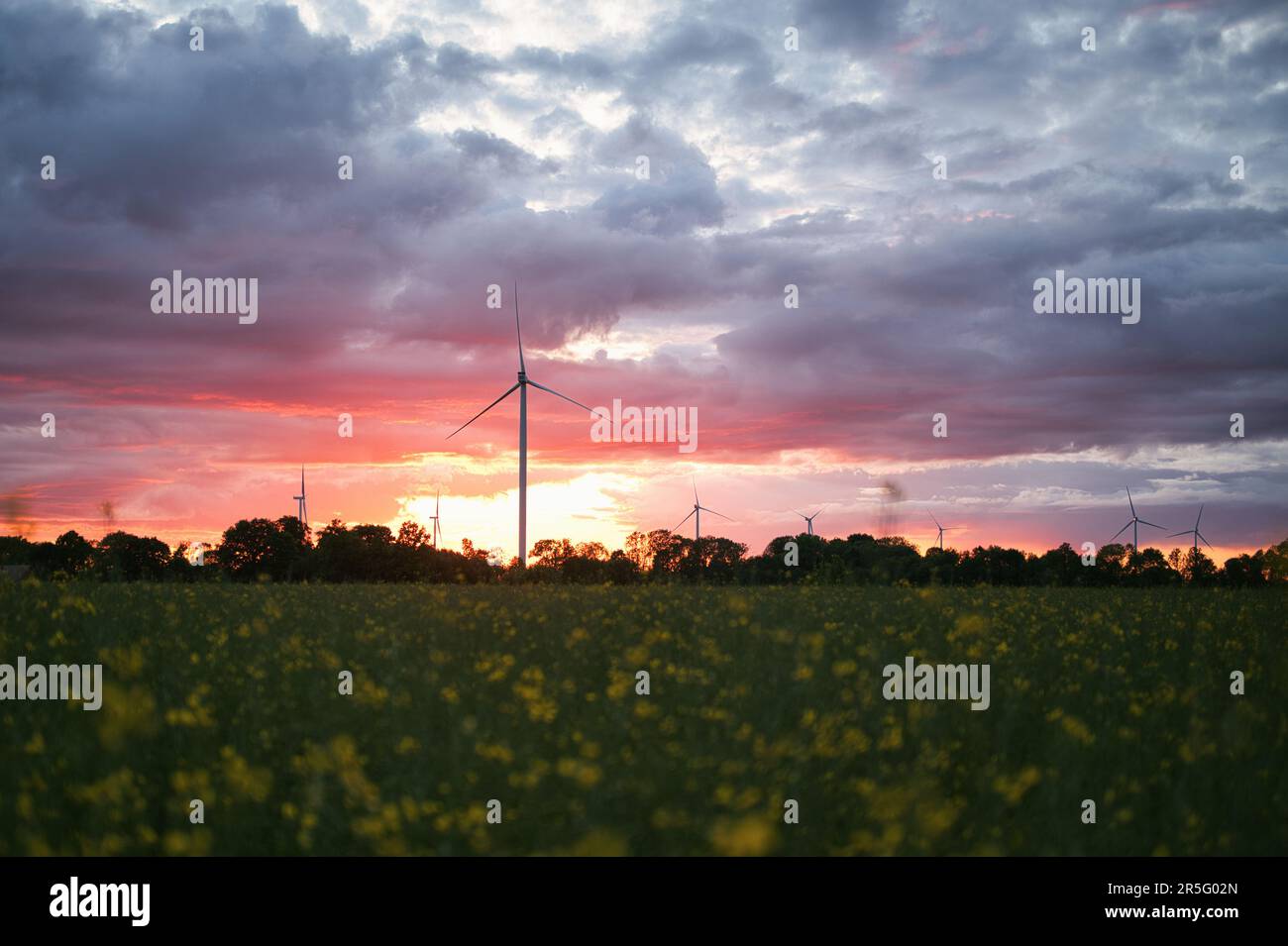 Ignitis wind turbine park in Jurbarkas, Lithuania Stock Photo - Alamy