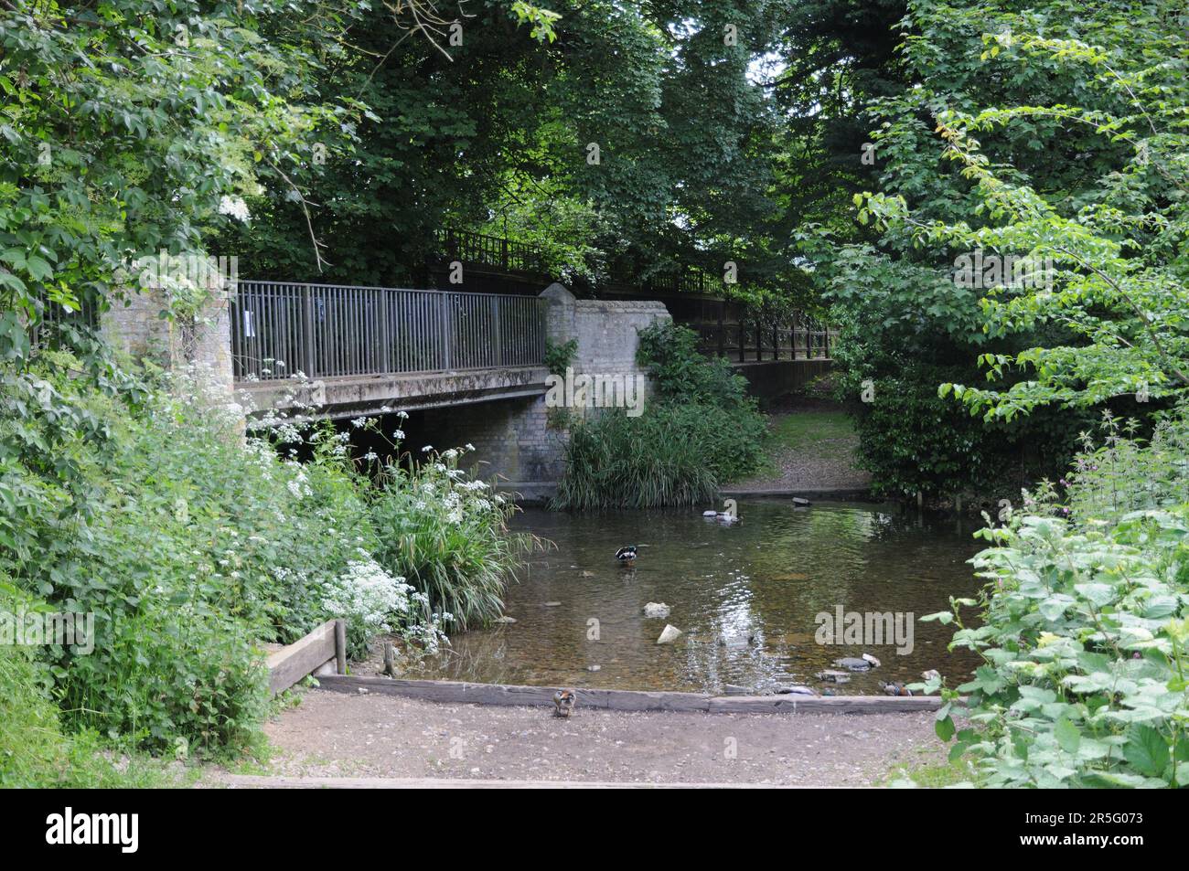 Granta river hi-res stock photography and images - Alamy