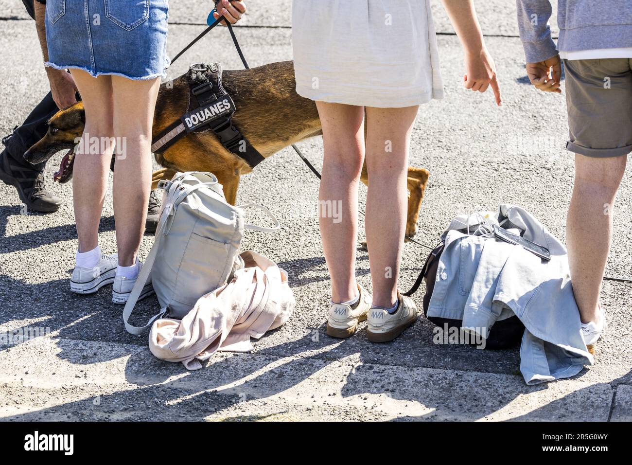 FEEDING - A customs dog during an international inspection just across ...