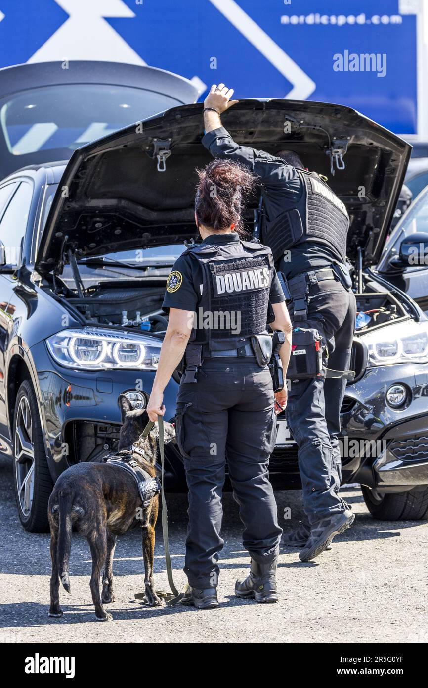 FEEDING - Customs during an international inspection just across the ...