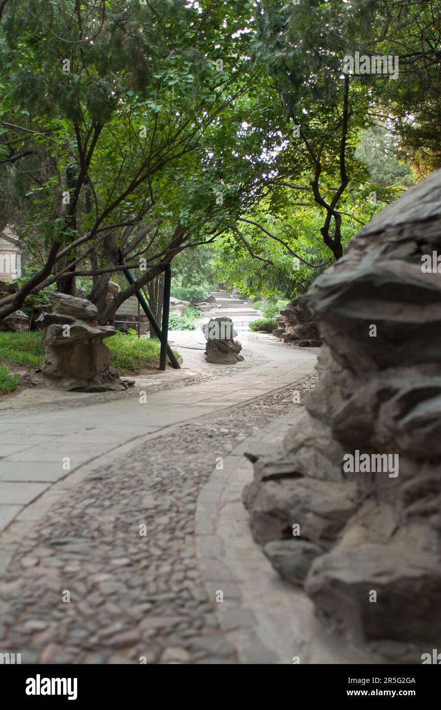 Clear path pathway hi-res stock photography and images - Alamy