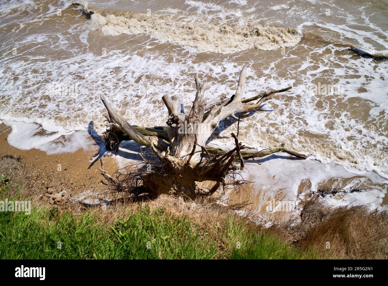 Coastal erosion of the cliffs at Walton on the Naze Essex Stock Photo ...
