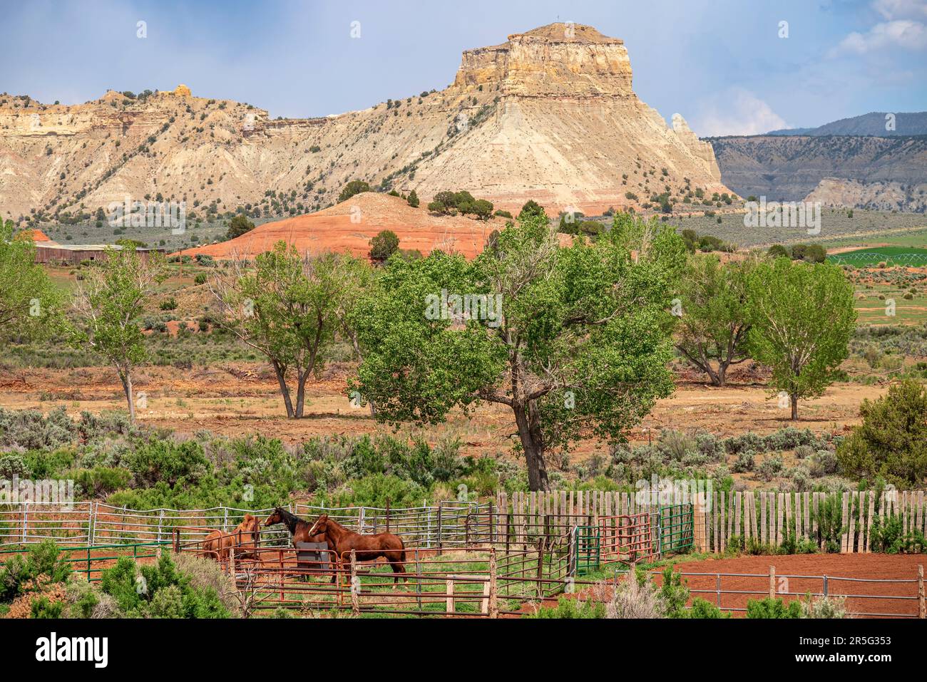Utah landscape rural living horses farmlands and surrounding nature ...