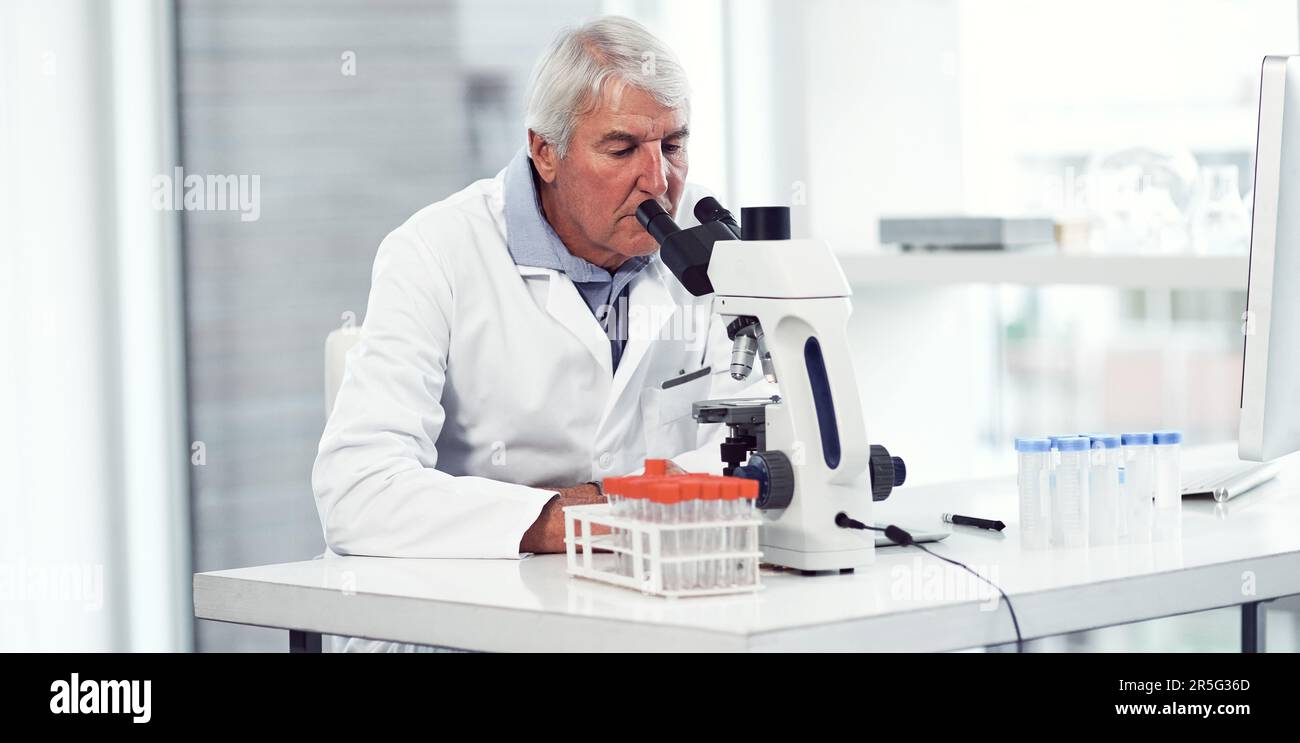 All in a days work. a focused elderly male scientist looking through a ...