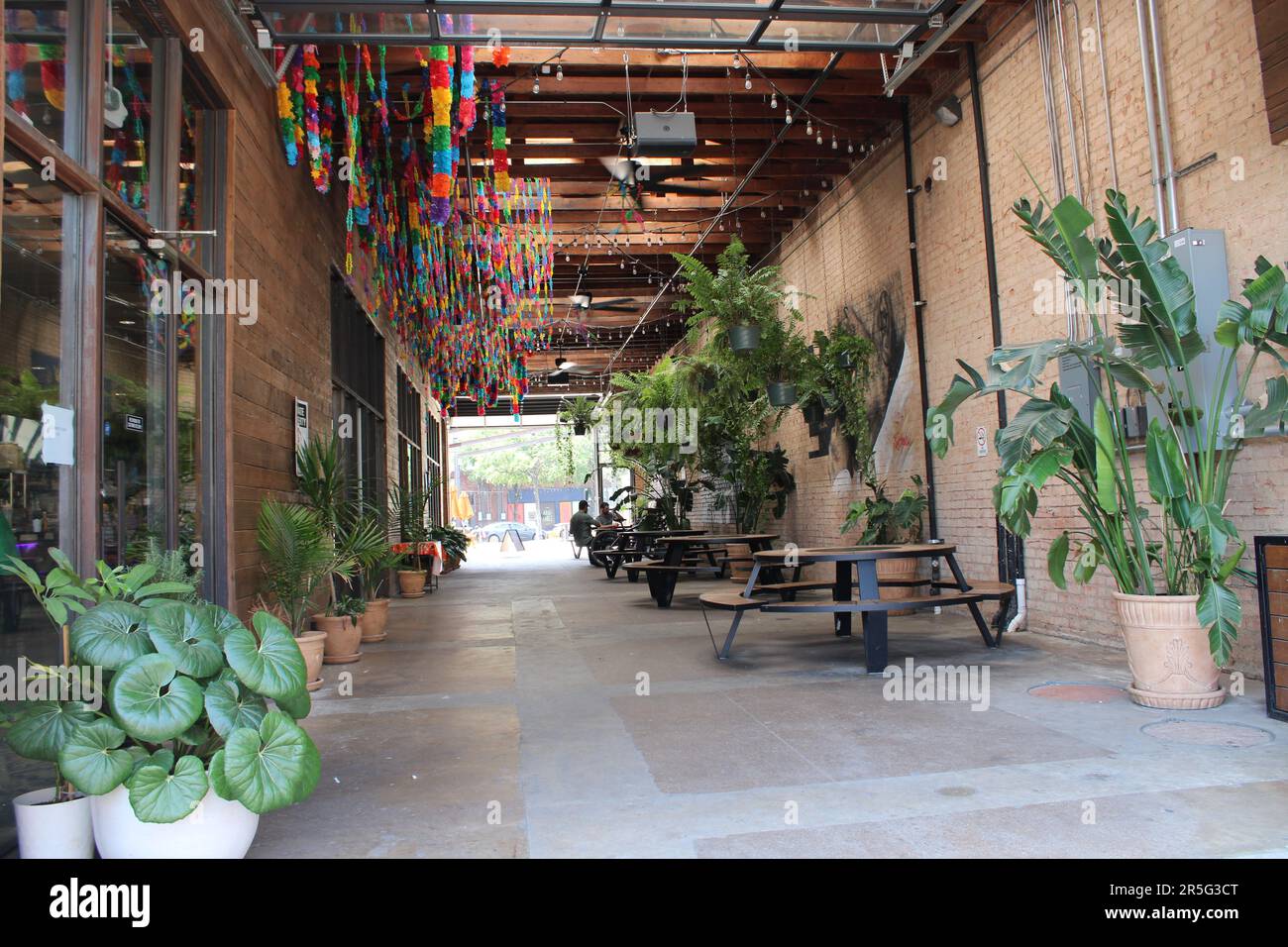 Denton,,Dallas and Deep Ellum,Downtown Highlights Stock Photo - Alamy