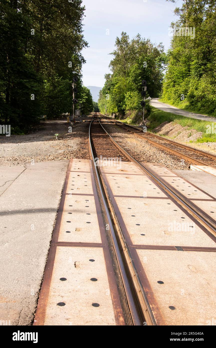 Train tracks at railroad crossing on Malcolm Road in Deroche, Mission ...