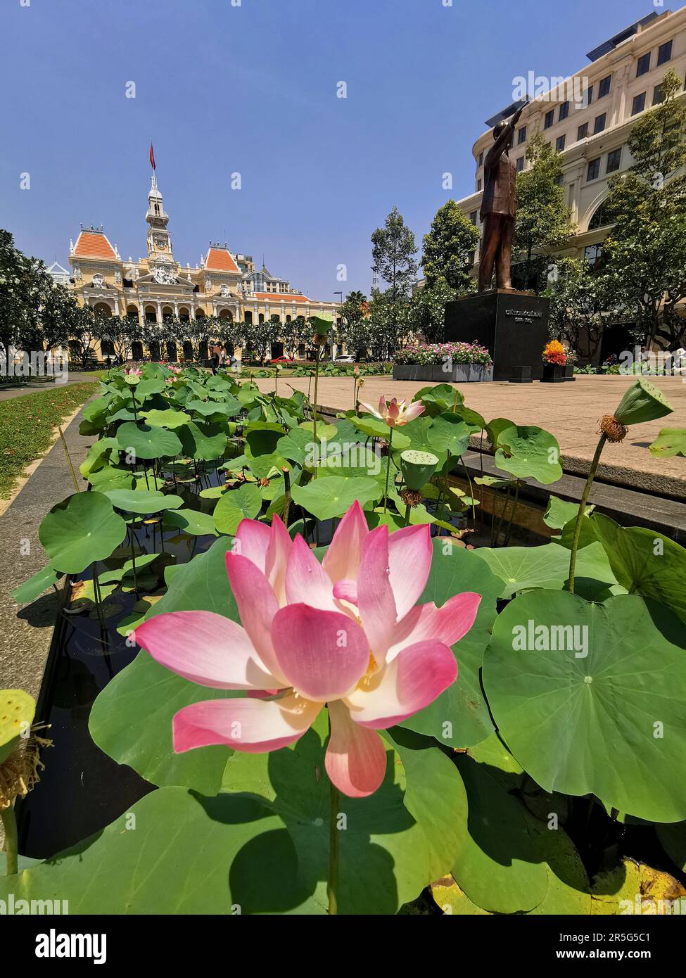 Saigon, Vietnam. 05th Mar, 2023. A lotus flower blooms near Saigon City ...