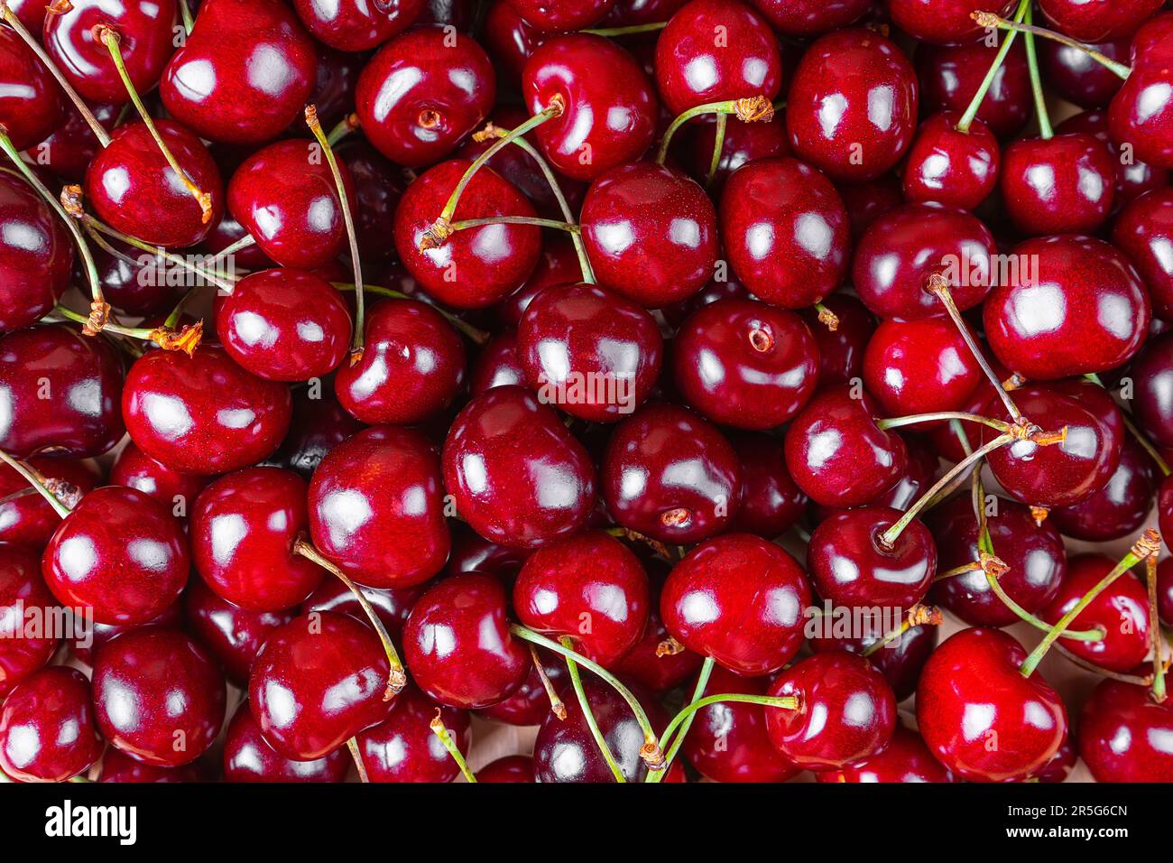 Red sweet cherries background. Pile of fresh red ripe sweet cherry with ...